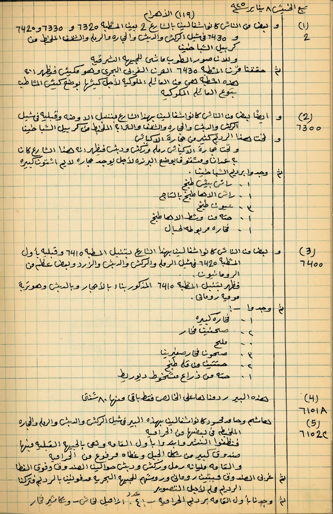 Digital Giza | Arabic Diary, Vol.2, p.119