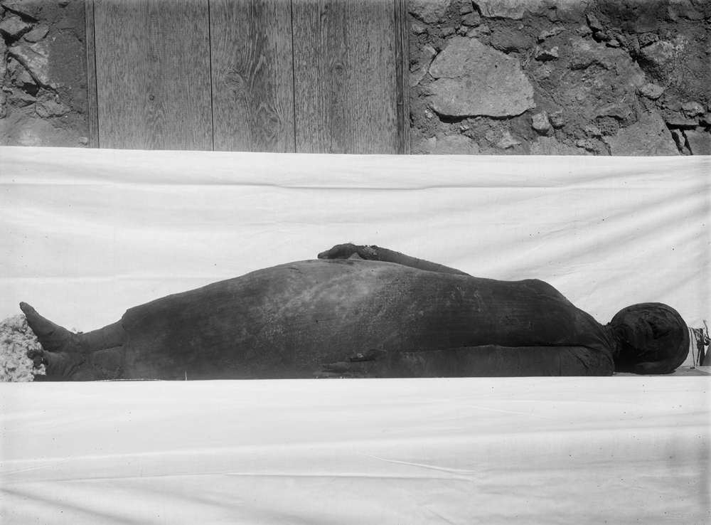 Well Preserved Mummy buried in wooden Coffin near the Great Pyramid ...