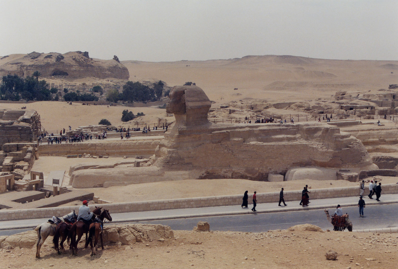 Digital Giza | Sphinx